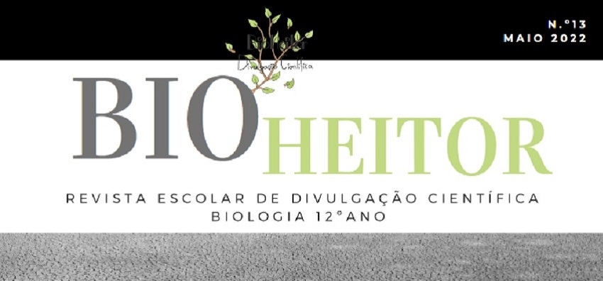 Revista científica da Escola Frei Heitor Pinto distinguida em concurso ...
