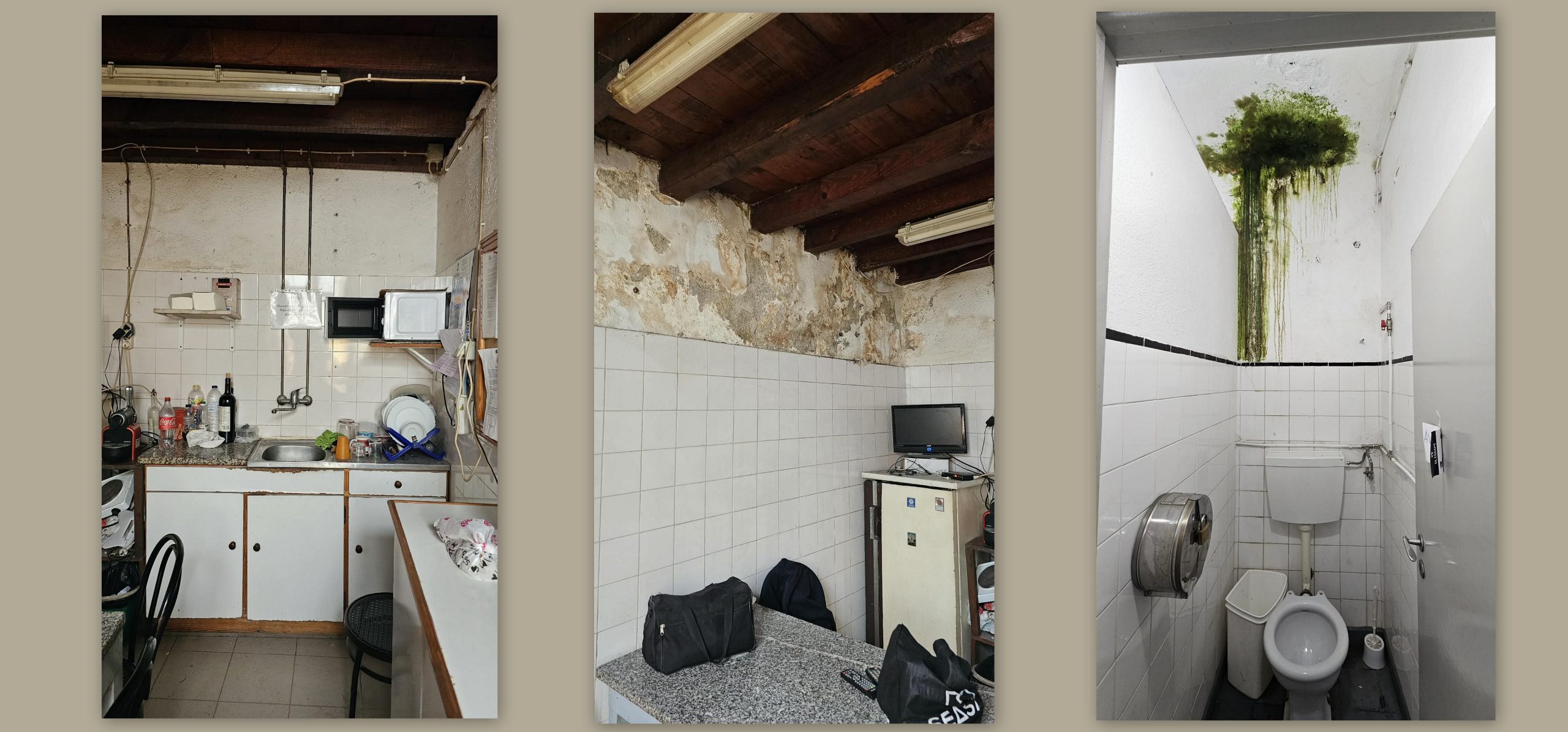 CMC “determinada” em melhorar condições de trabalho no cemitério ...